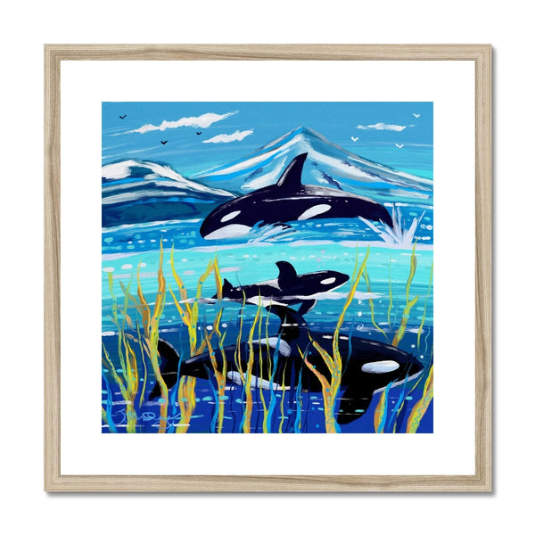 Orca Killer Whale Animal Art Prints | John Dyer Gallery